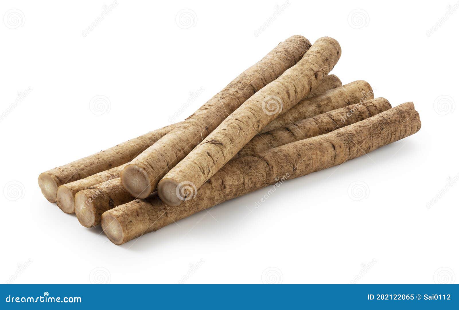 Burdock on a White Background Stock Image - Image of organic ...