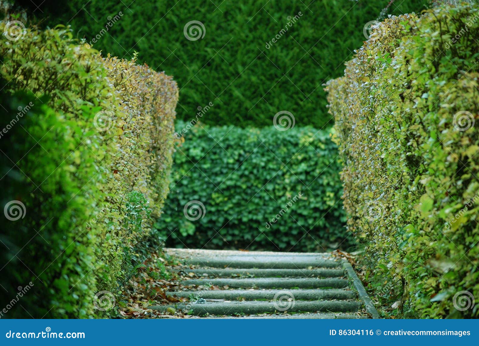 2008-11-15-Bures-Ouverture Picture. Image: 86304116