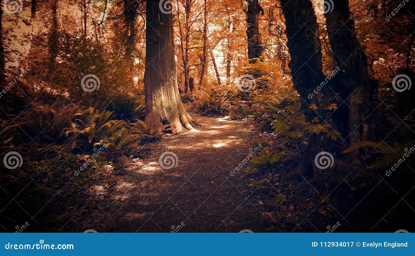 Burfoot Park stock image. Image of outdoors, burfoot - 112934017