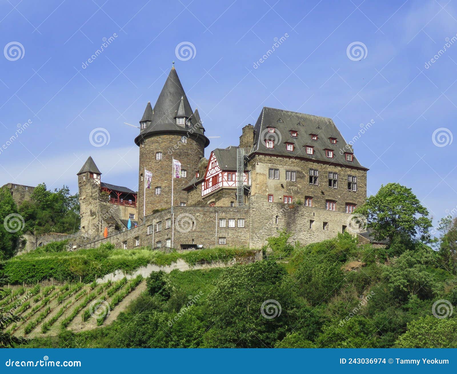 Burg Stahleck Castle on the Rhine Stock Photo - Image of sits, 12th ...