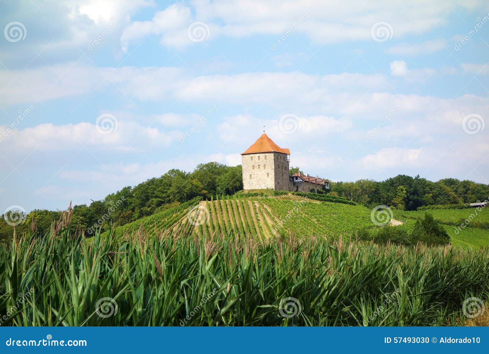 Burg Windeck stock photo. Image of farming, leaves, country - 57493030