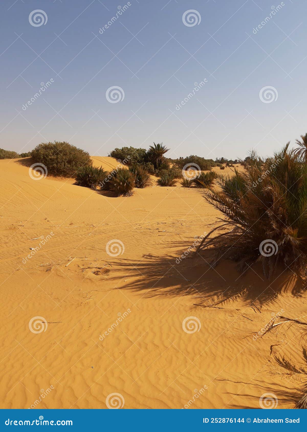 Burgan Beach stock photo. Image of sahara, plain, dune - 252876144