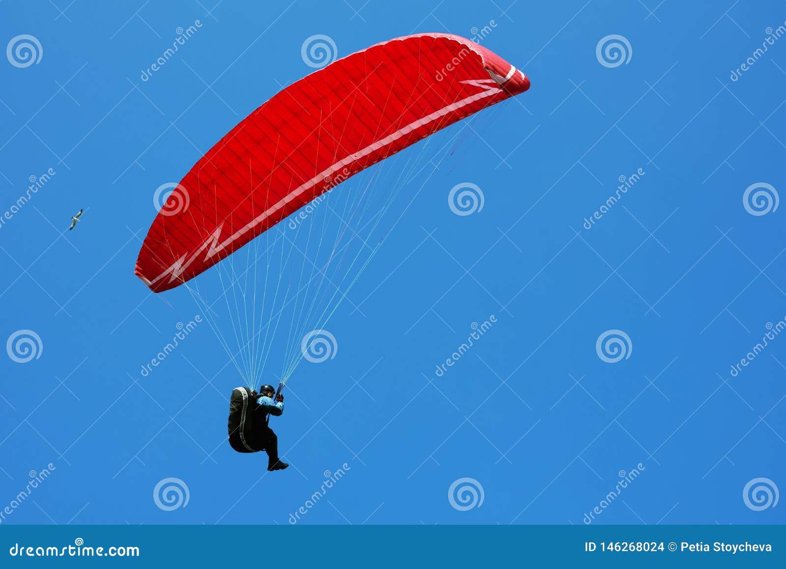Burgas, Bulgaria - March, 2019: Parachuting. Canopy in the Sky ...