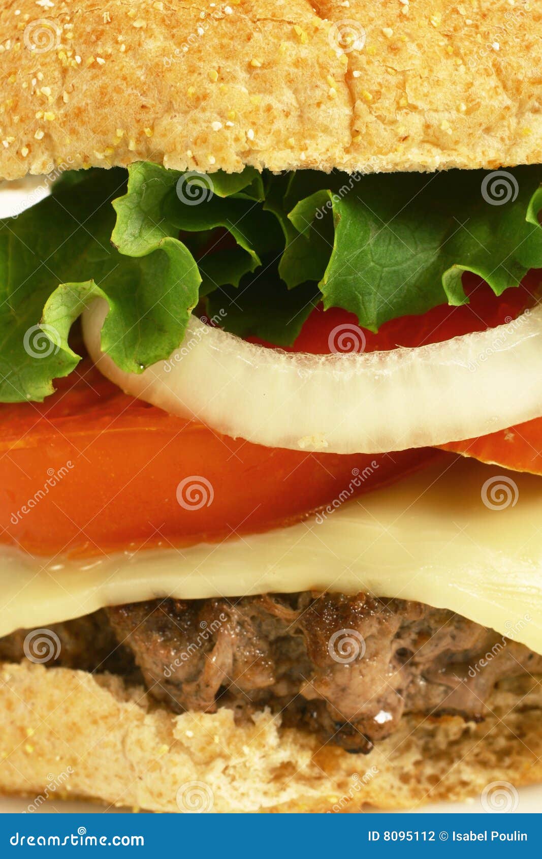 Burger close up stock photo. Image of fast, burger, dinning - 8095112