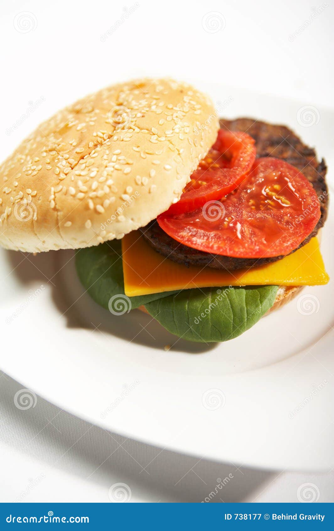Burger - fast-food stock image. Image of fast, burger, loaded - 738177
