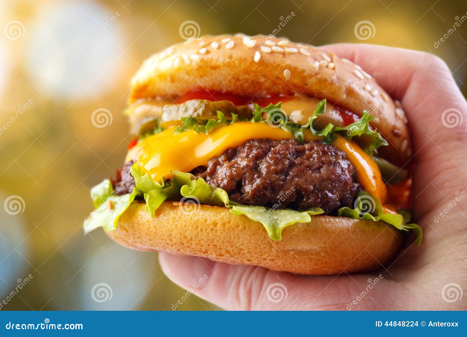 Burger in hand stock photo. Image of hold, hand, food - 44848224