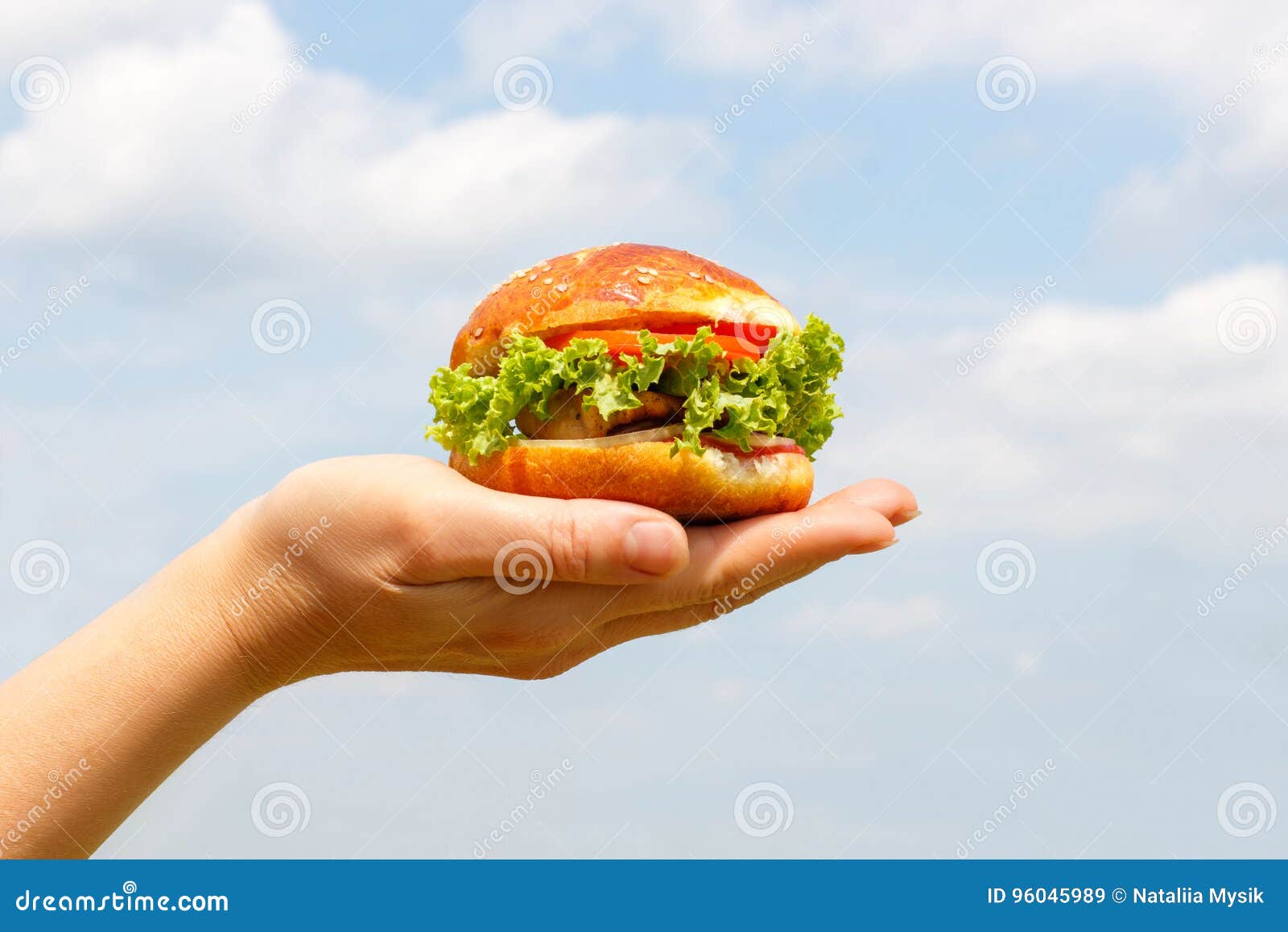 Burger in the hand . stock image. Image of closeup, cuisine - 96045989