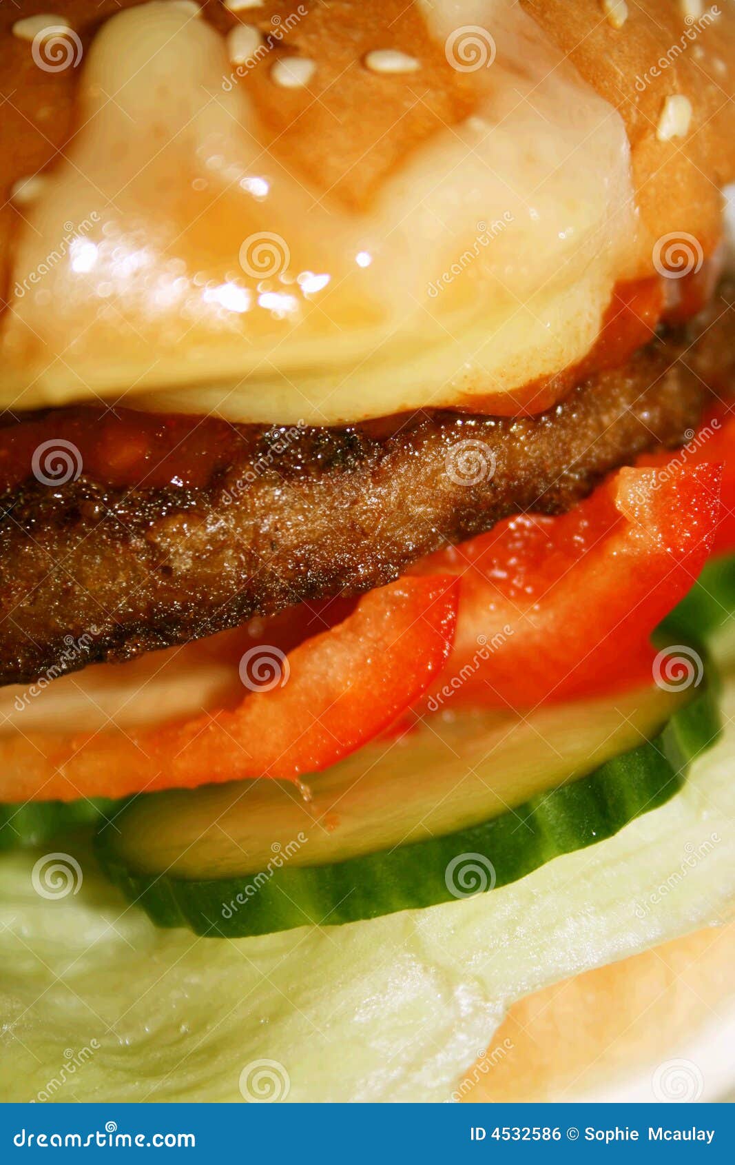 Burger macro stock photo. Image of cucumber, quorn, melting - 4532586