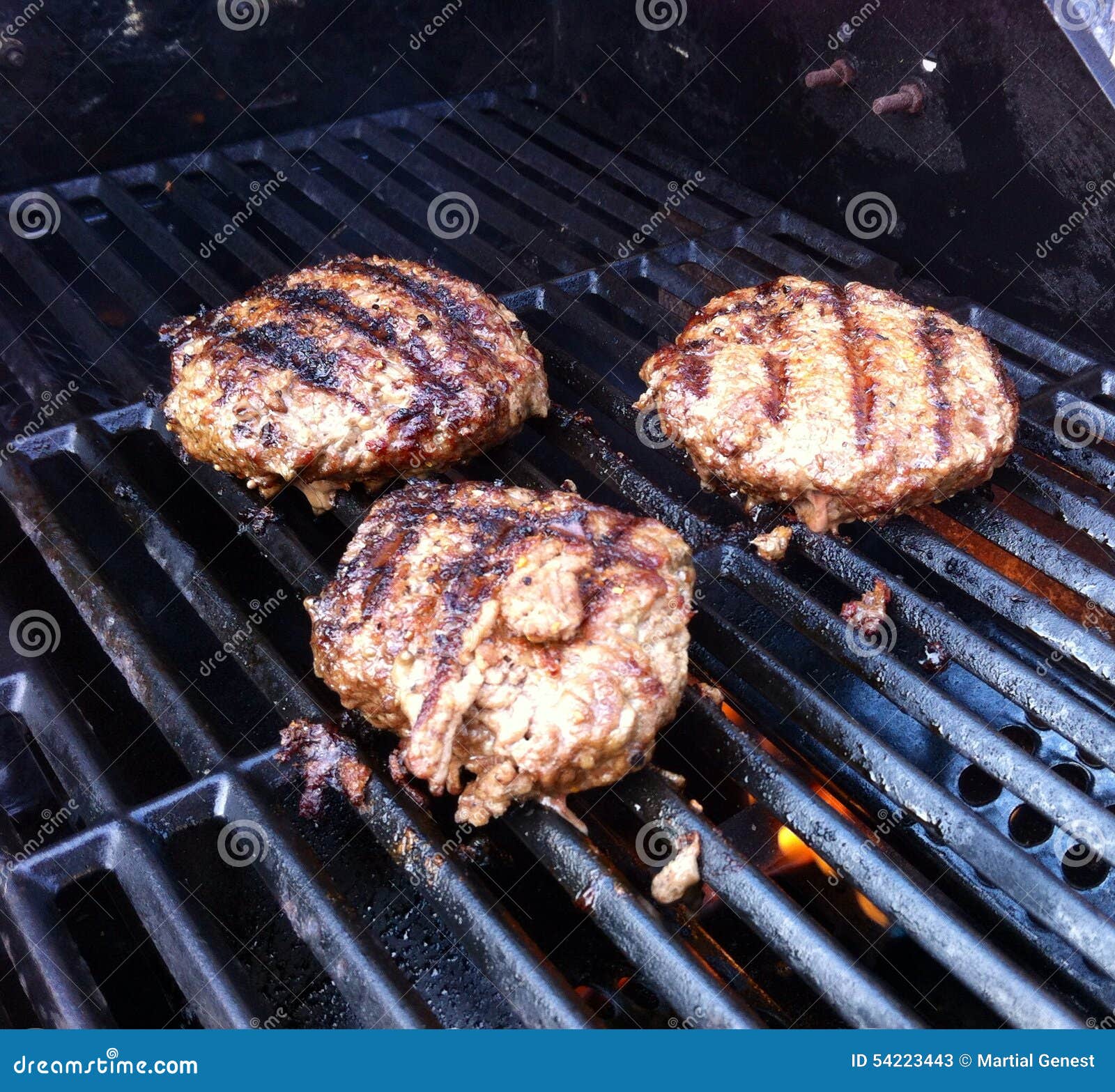 Burger patty stock image. Image of cooking, meat, bison - 54223443