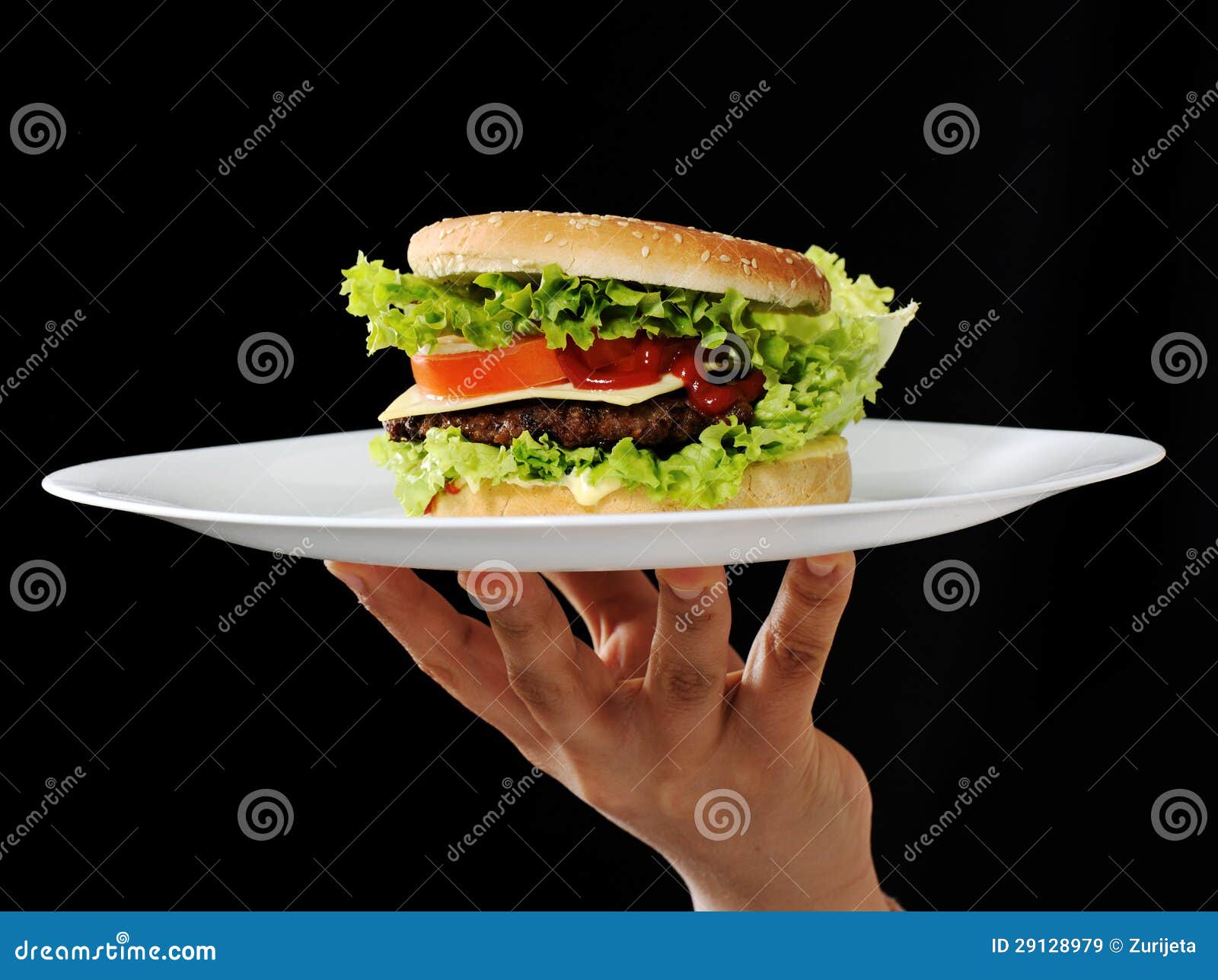 Burger on plate stock image. Image of cheeseburgers, burger - 29128979