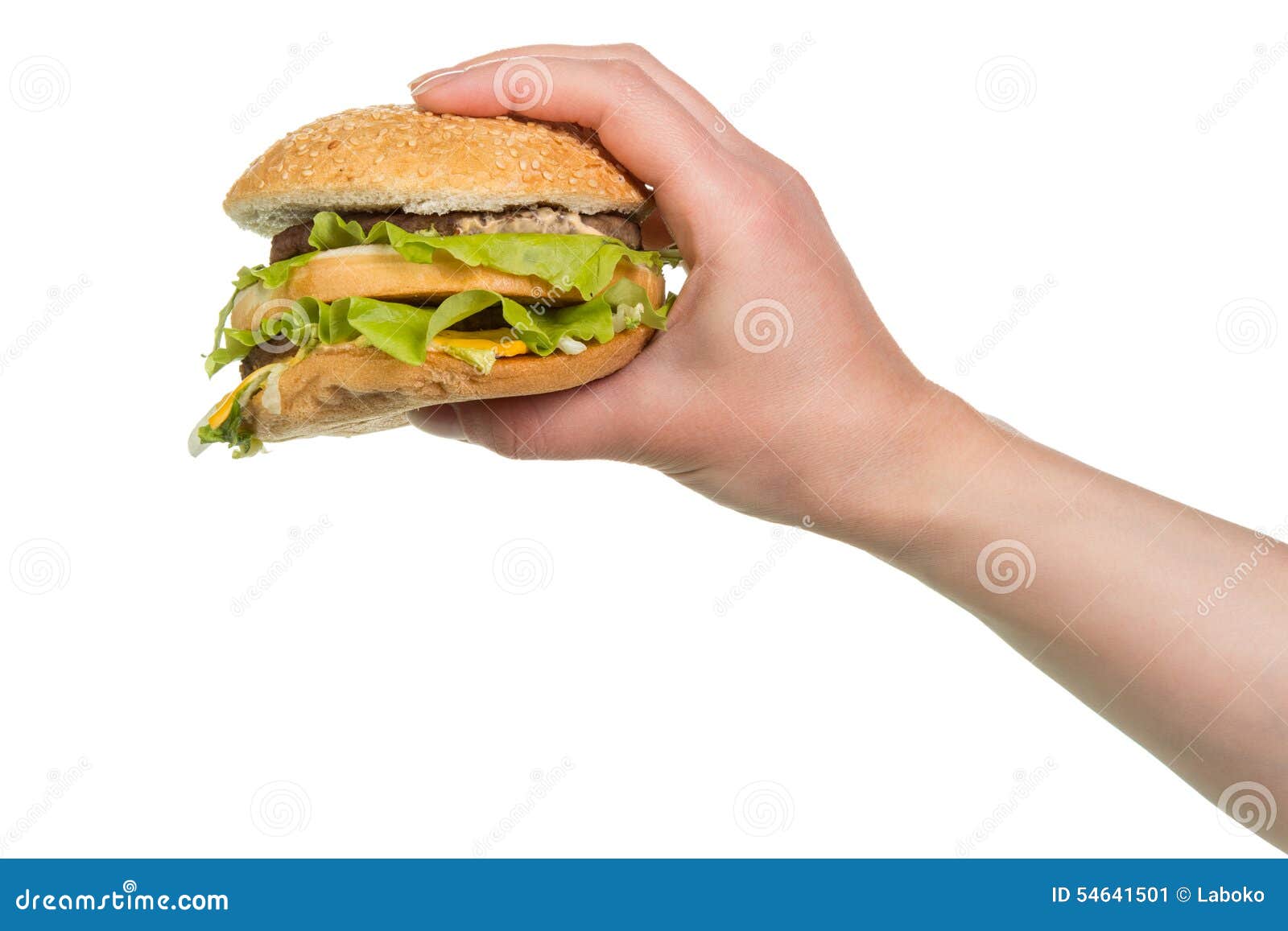 Burger sandwich in hand stock image. Image of meat, food - 54641501