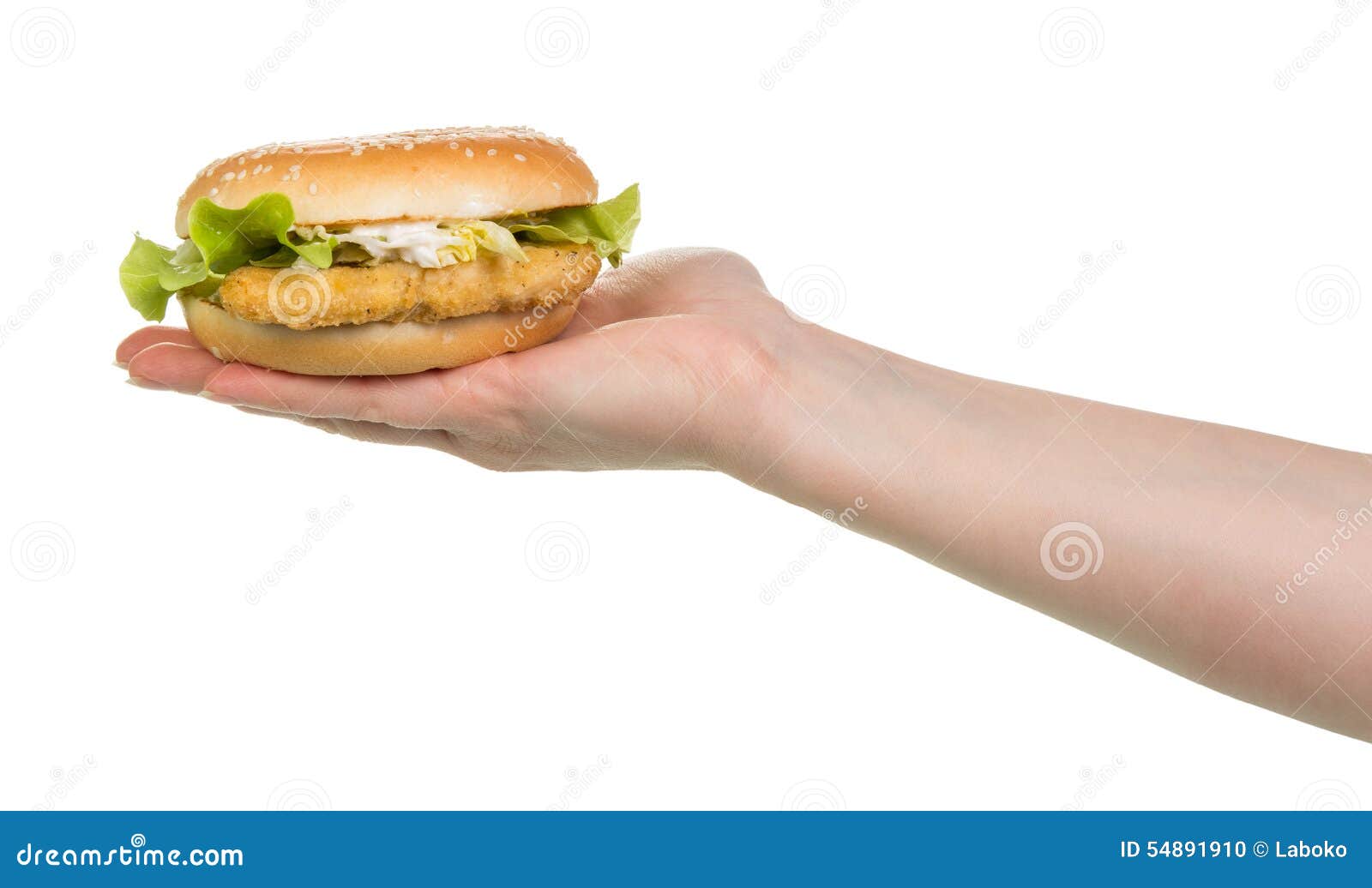 Burger sandwich in hand stock photo. Image of nutrition - 54891910