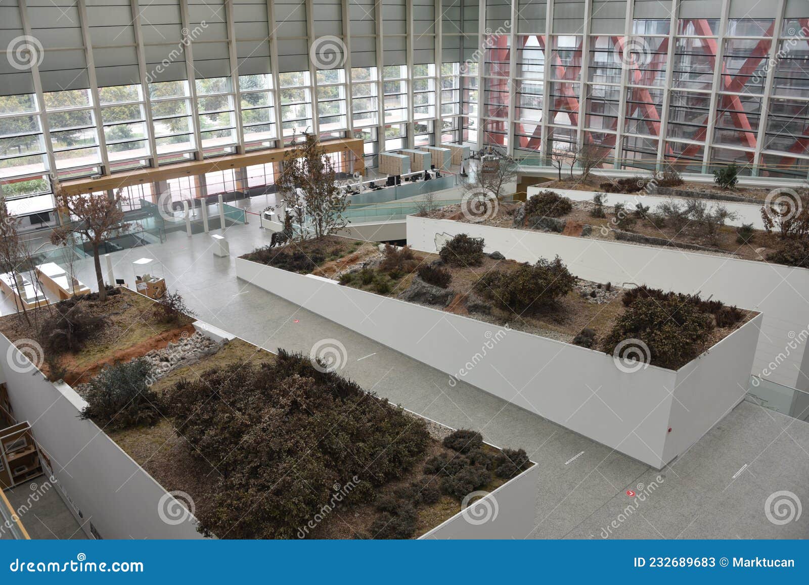 Interior of the Museum of the Human Evolution Editorial Stock Photo ...
