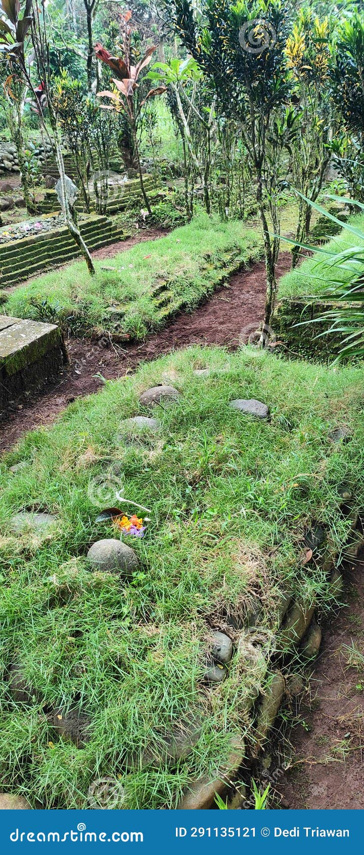 The Burial Ground in the Green Morning Stock Image - Image of green ...