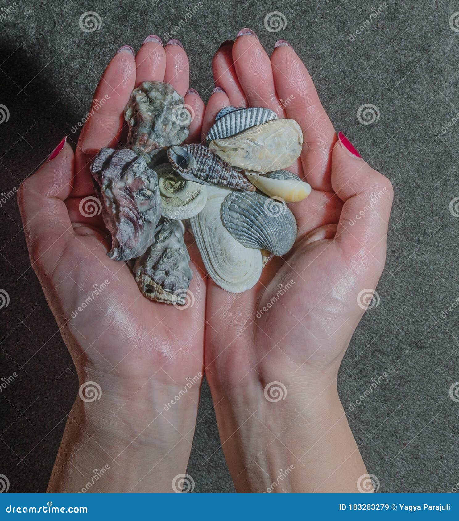 Burial shell on the hands stock image. Image of peaceful - 183283279