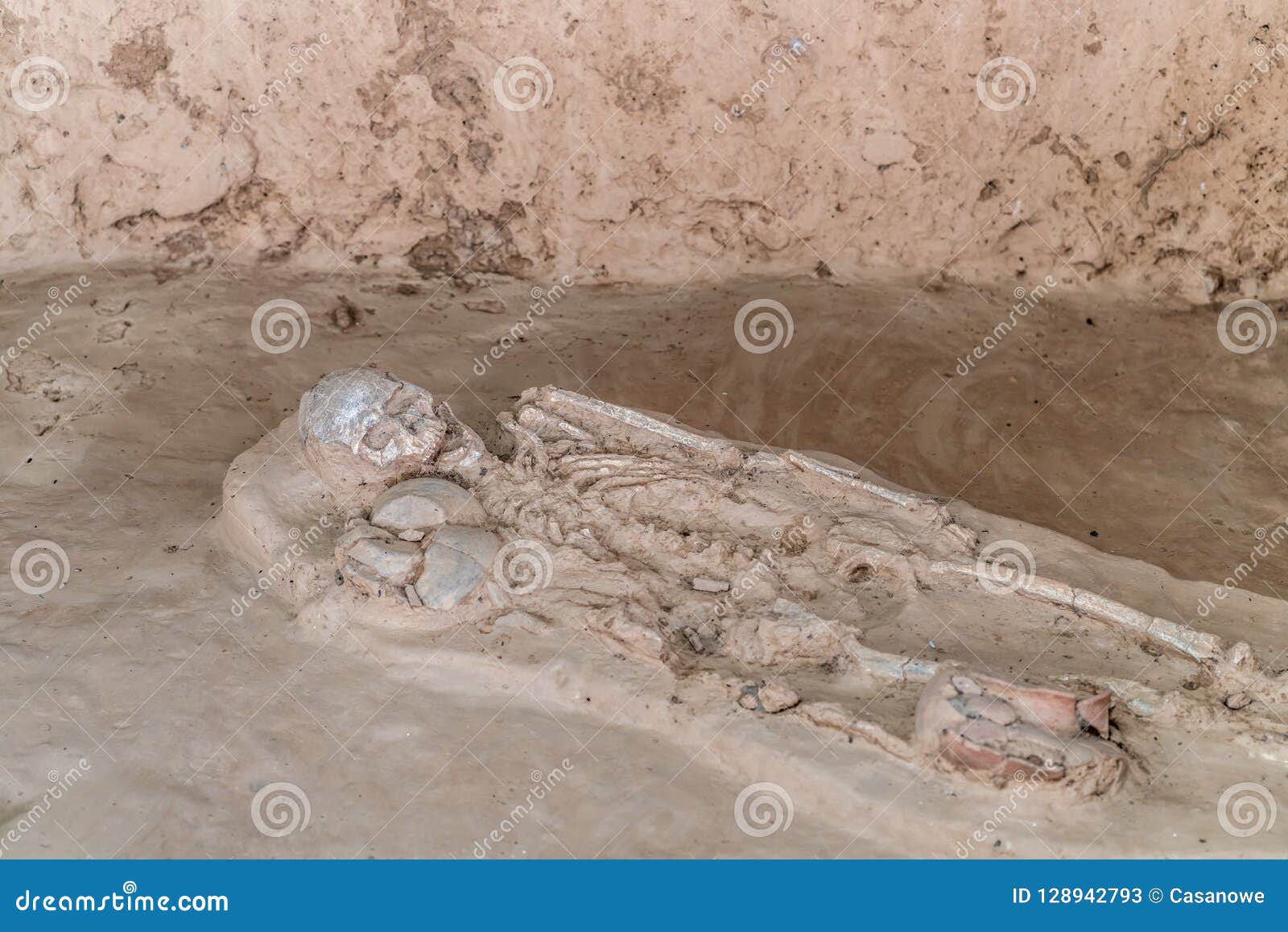 Burial Skeleton Human Bones from Ancient Grave Stock Image - Image of ...