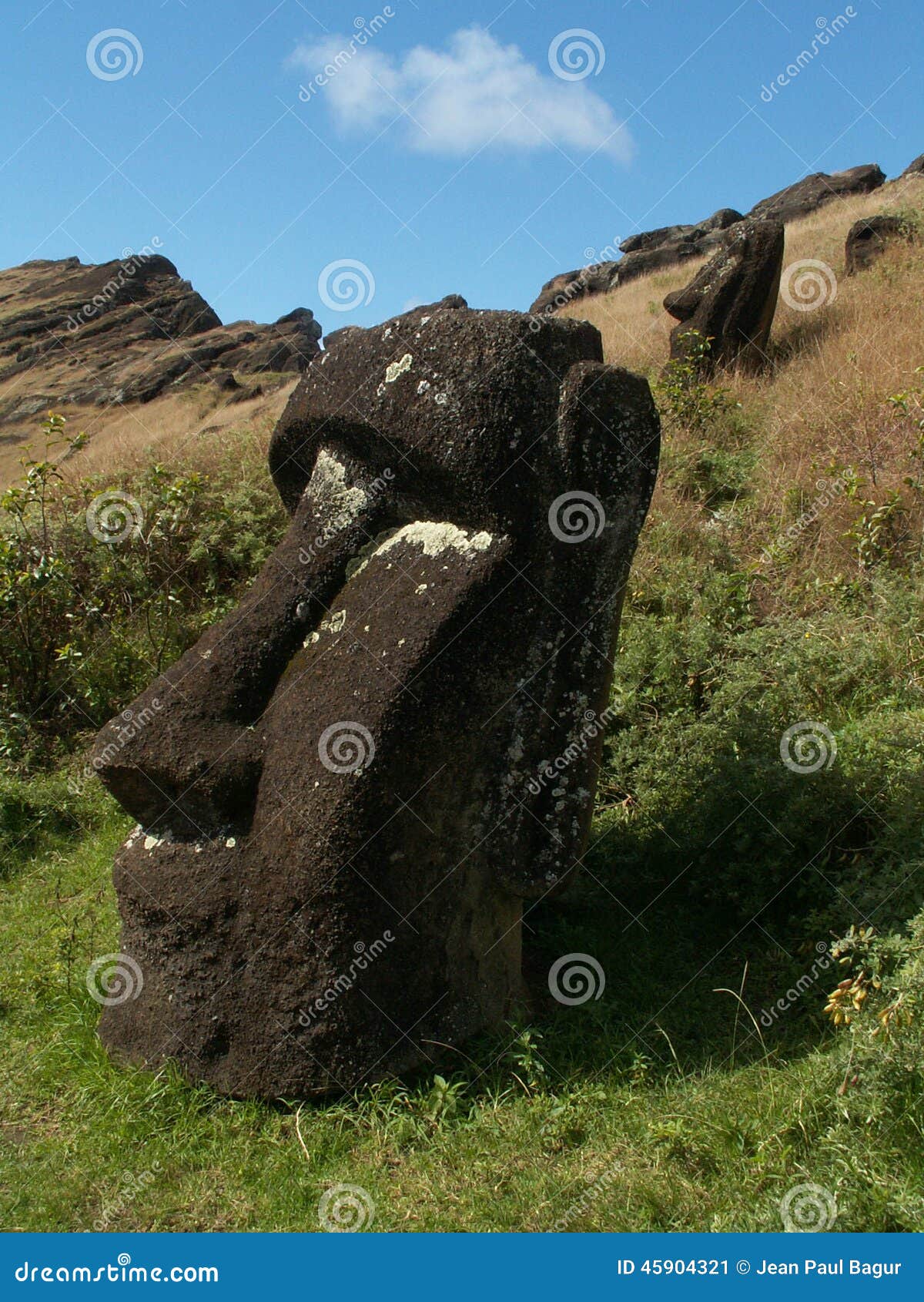 Buried Moai stock image. Image of botanical, nature, easter - 45904321