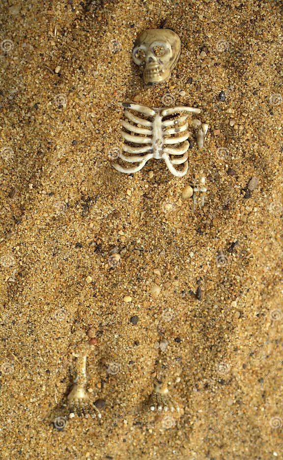 Buried Skeleton Bones in the Sand Stock Image - Image of backdrops ...