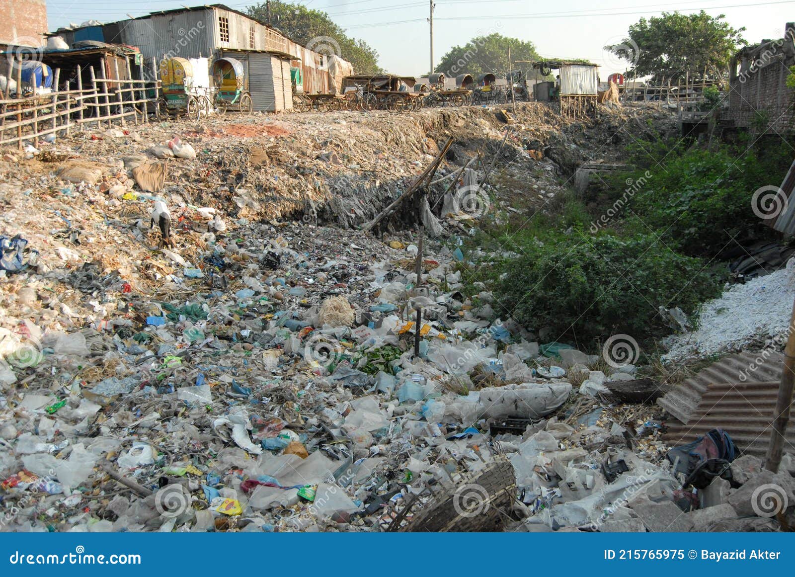 The Problem Of Pollution By Garbage Editorial Photo 24542053