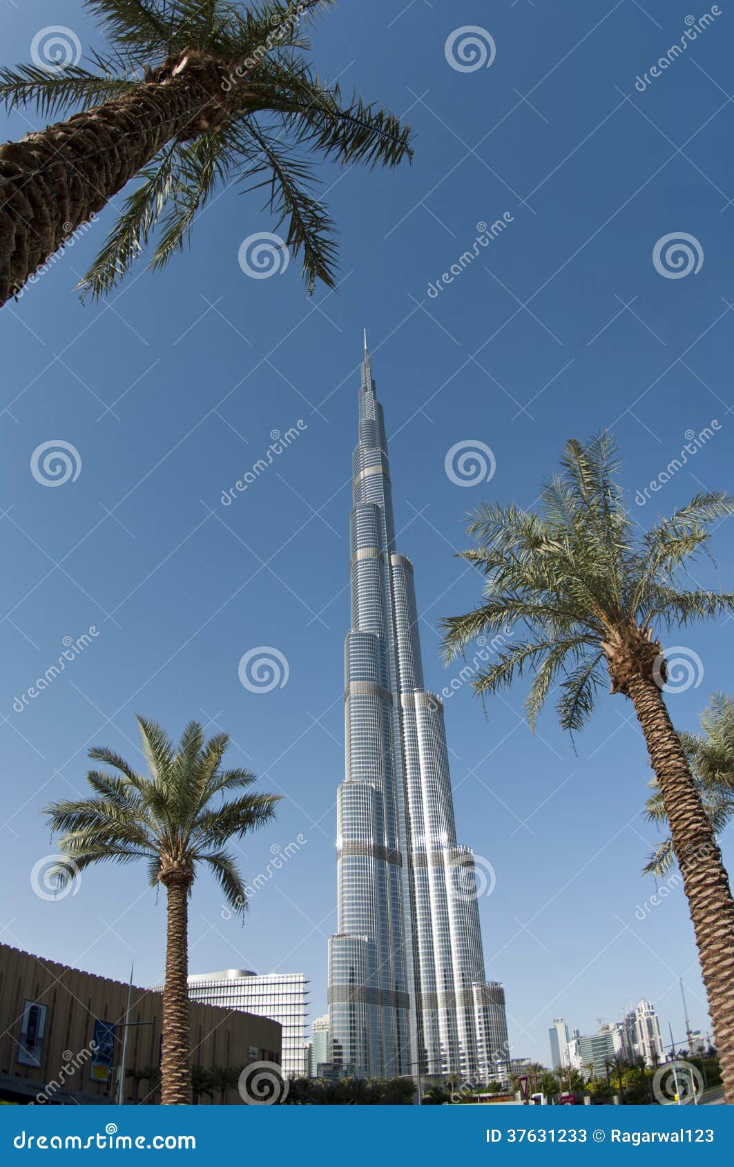 Burj Khalifa and Three Palm Trees, Dubai, UAE Stock Image - Image of ...