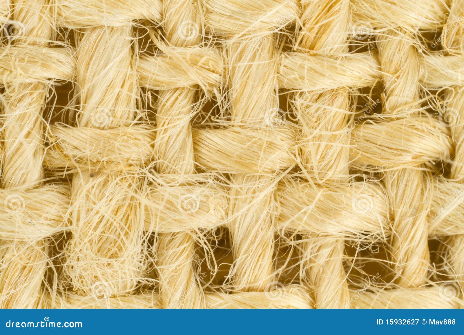 Jute Fiber Microscope