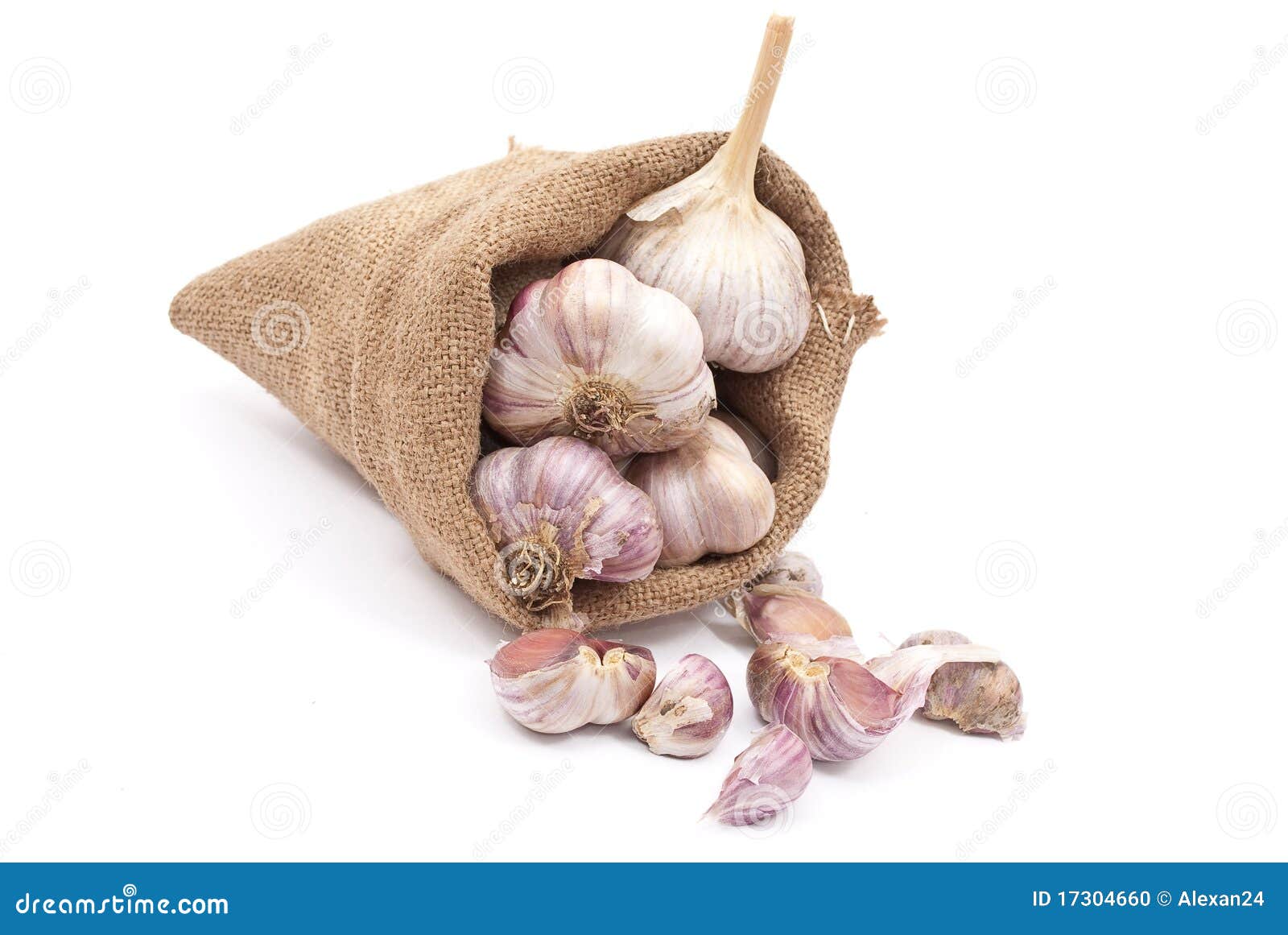 Burlap sack with garlic stock photo. Image of ingredient - 17304660