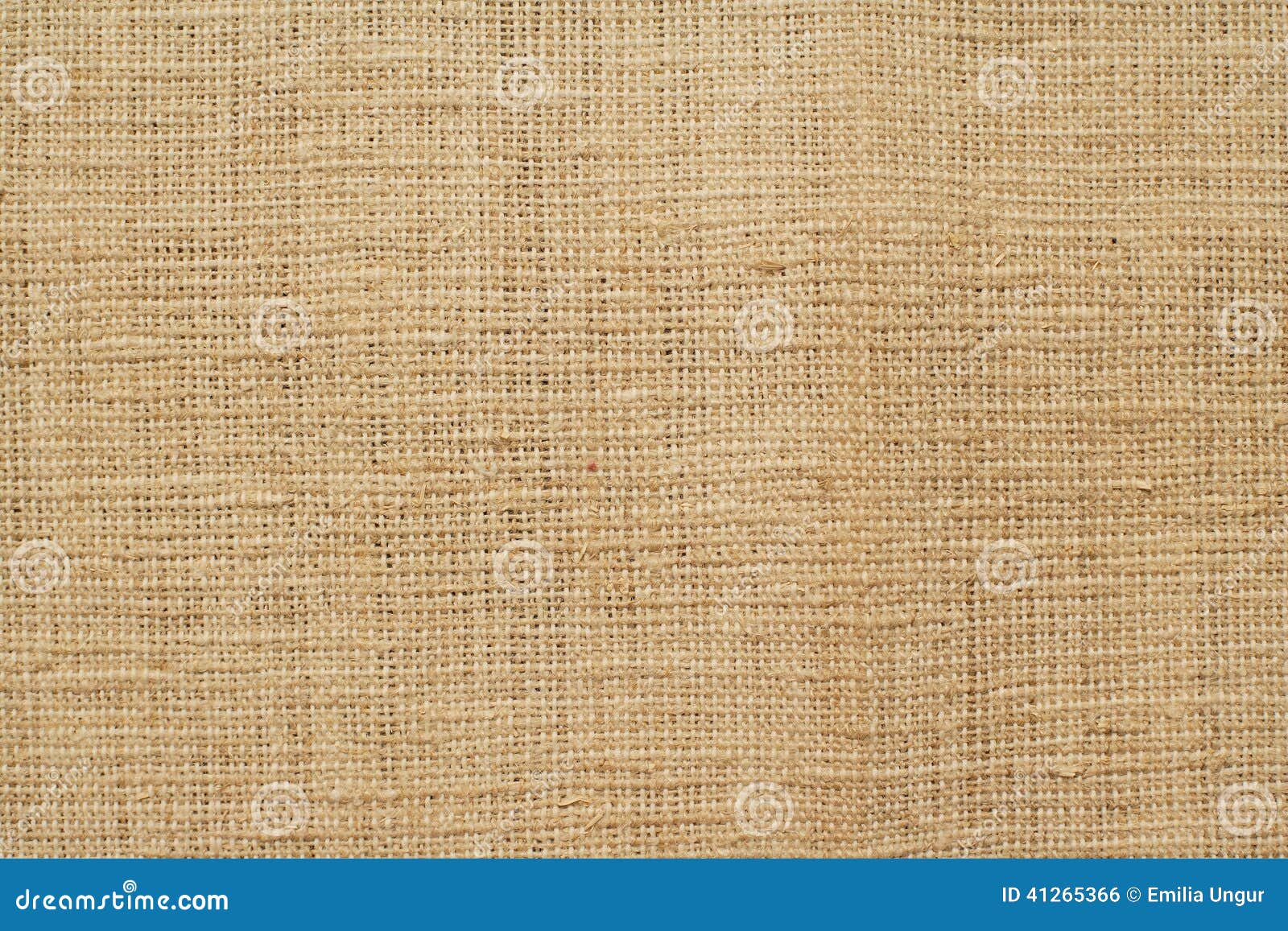 Burlap Texture Background Stock Photography | CartoonDealer.com #51331442