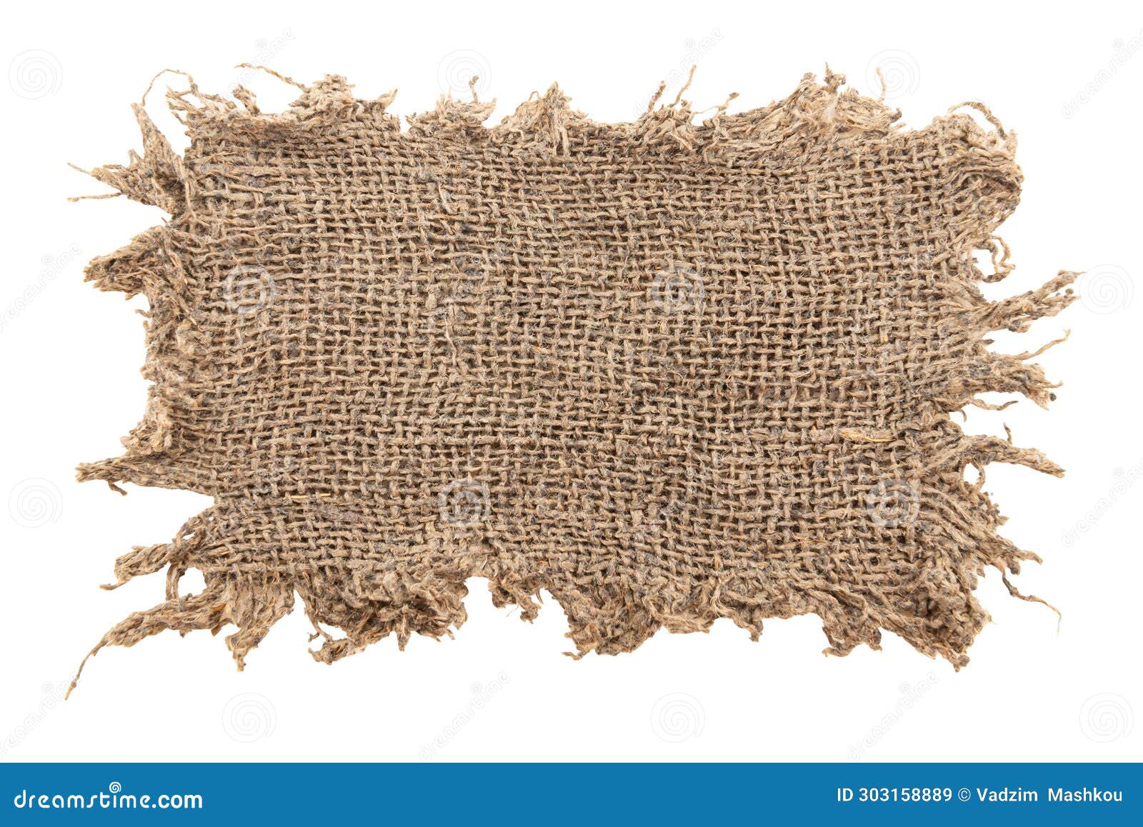 Burlap Texture. a Piece of Torn Burlap on a White Background. Canvas ...