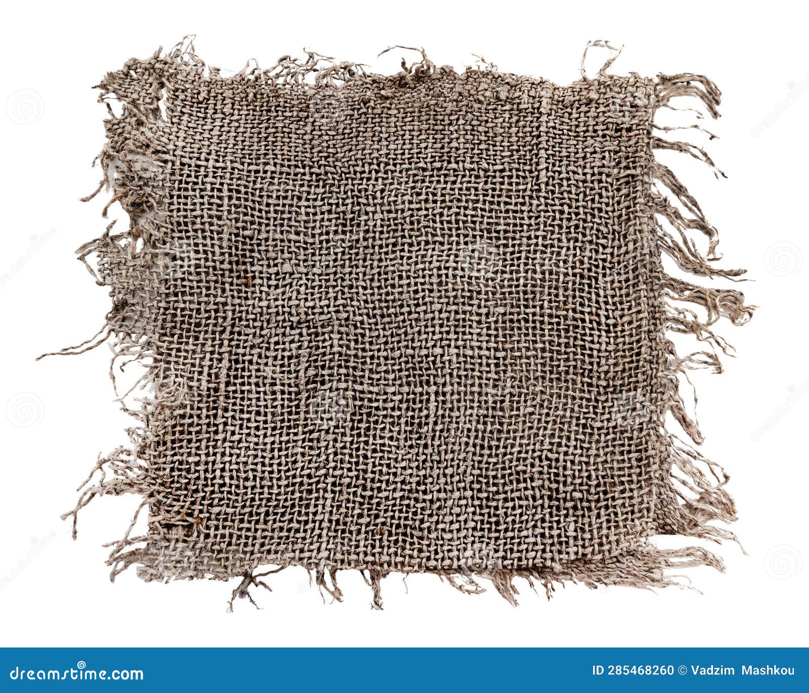 Burlap Texture. a Piece of Torn Burlap on a White Background. Canvas ...