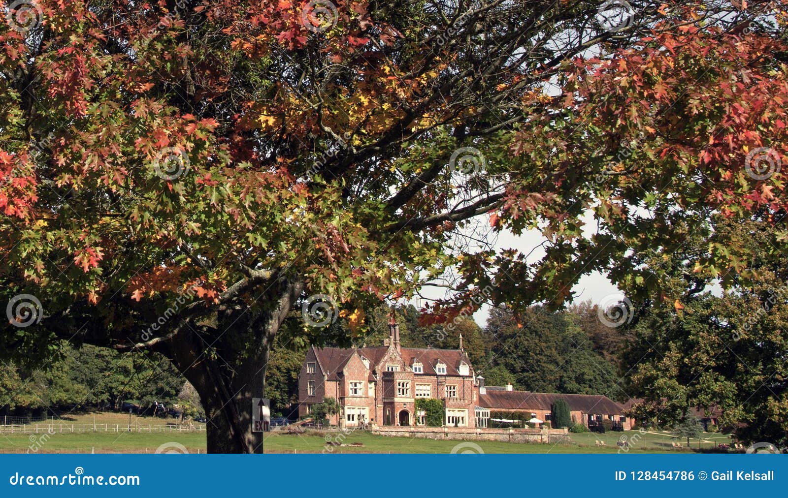 Burley Manor Hotel in the New Forest Editorial Photo - Image of autmn ...