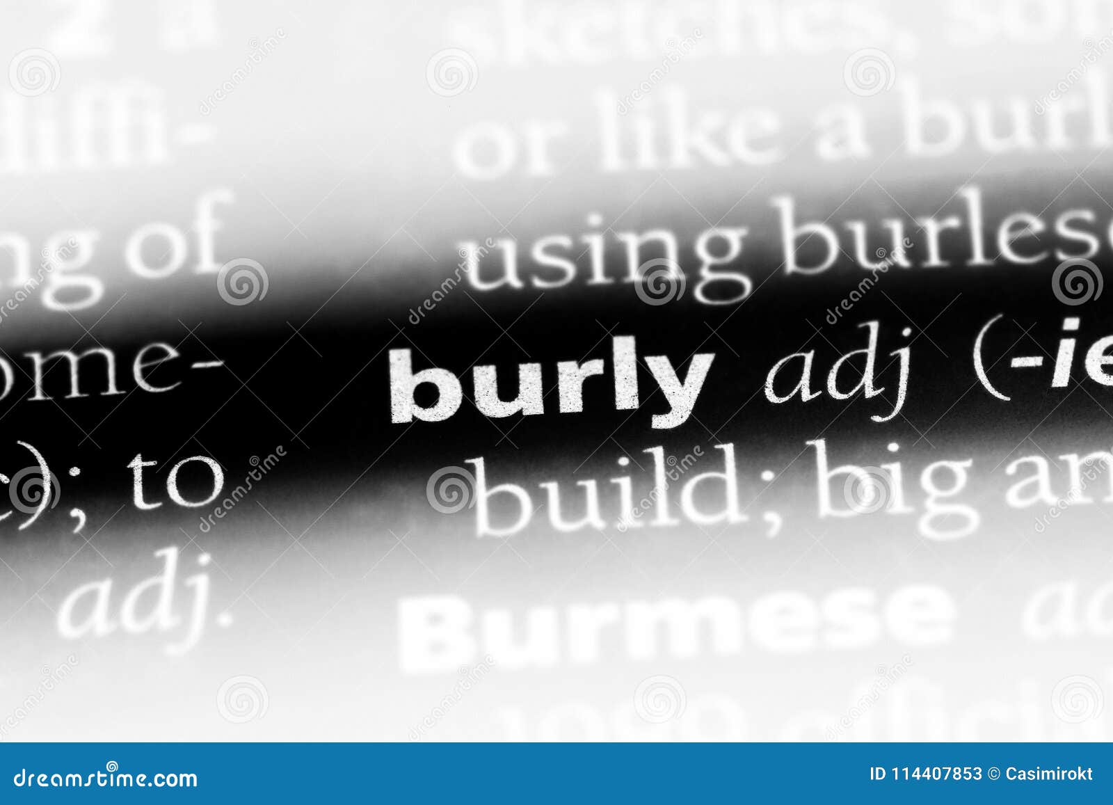 Burly stock image. Image of concept, idea, isolated - 114407853