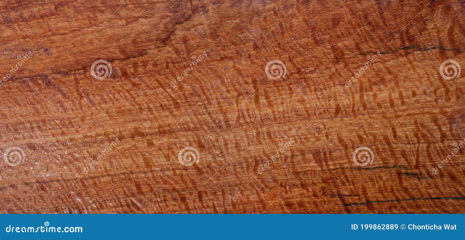Burma Padauk Wood Has Tiger Stripe Stock Image - Image of brazilian ...