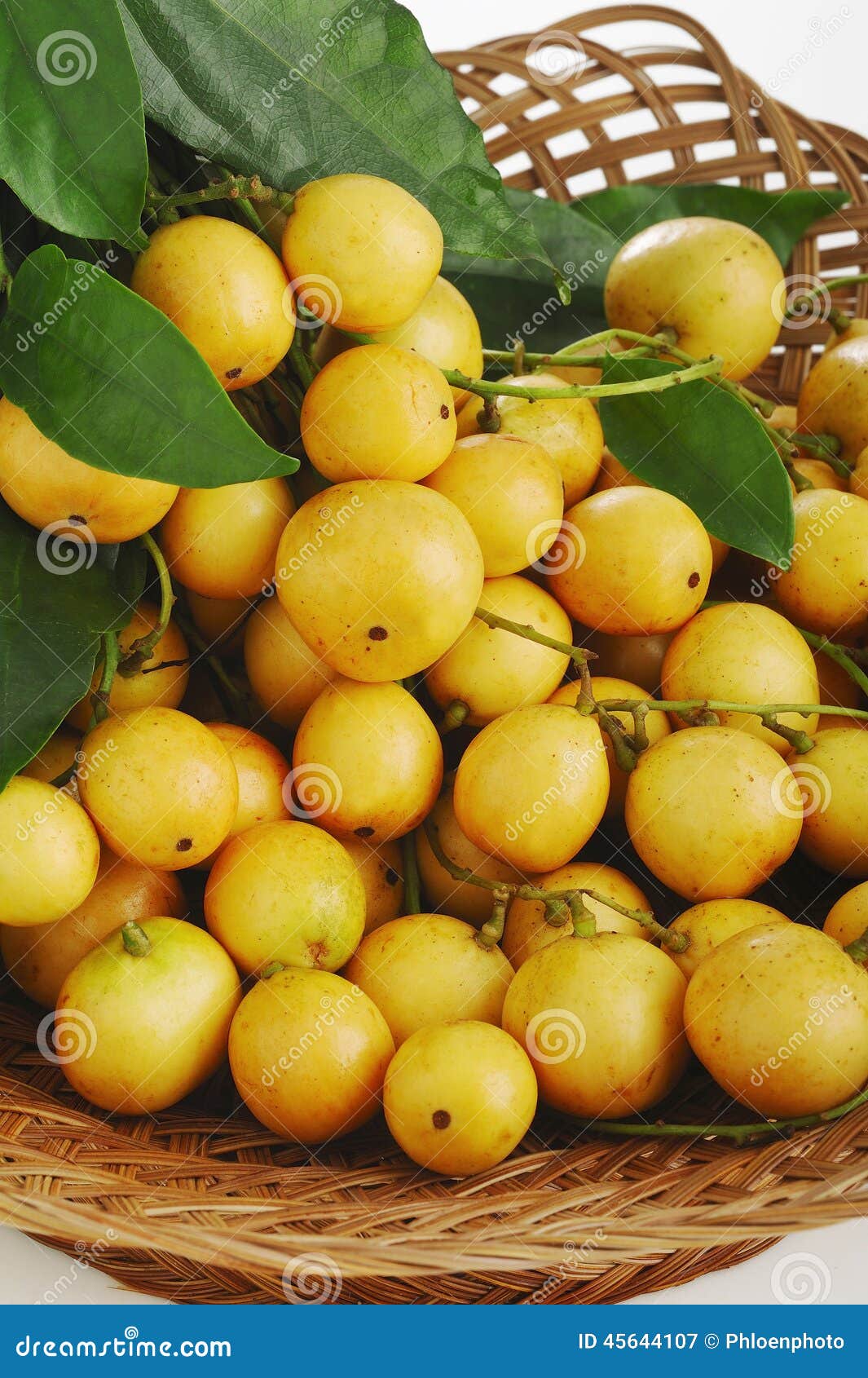 Burmese grape fruit stock image. Image of grape, delicious - 45644107