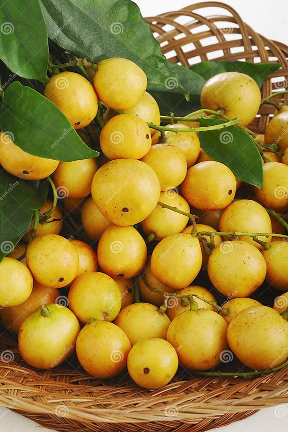 Burmese grape fruit stock image. Image of grape, delicious - 45644107
