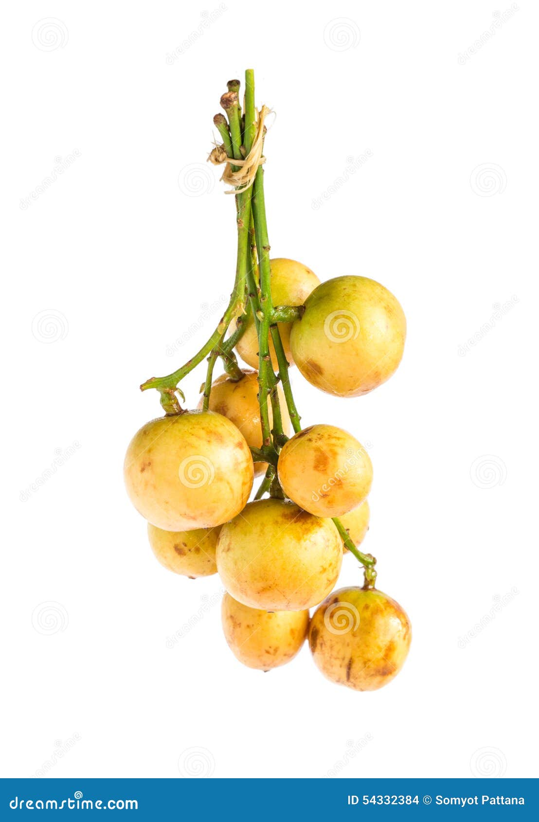 Burmese grape stock photo. Image of sweet, fresh, isolated - 54332384