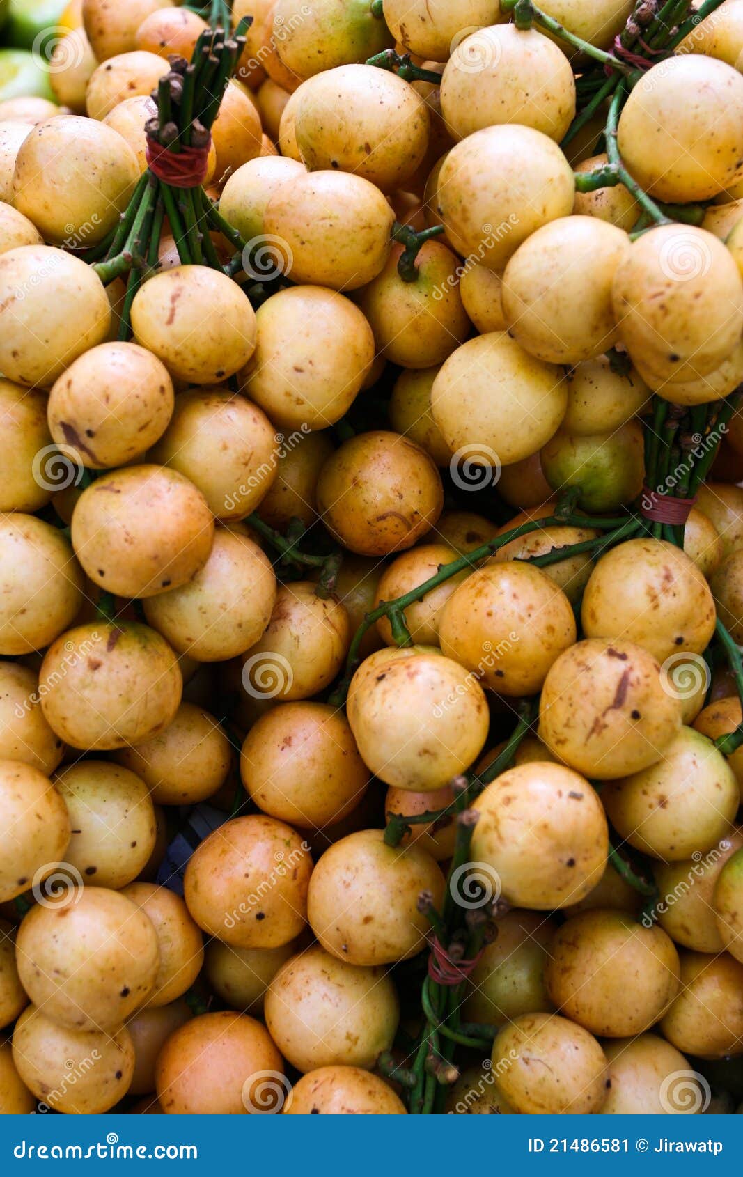 Burmese Grape or Rambai ,Thai Stock Image - Image of fruit, oriental ...