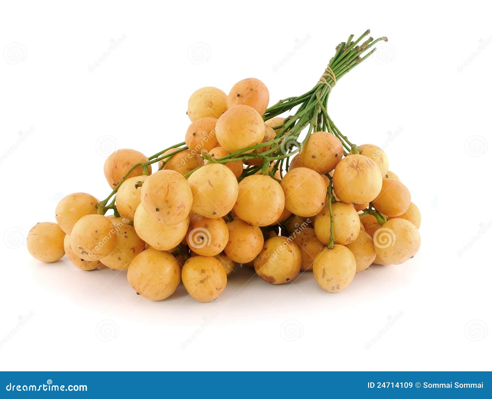 Burmese Grape Or Rambai ,Thai Native Fruit Royalty Free Stock Images ...