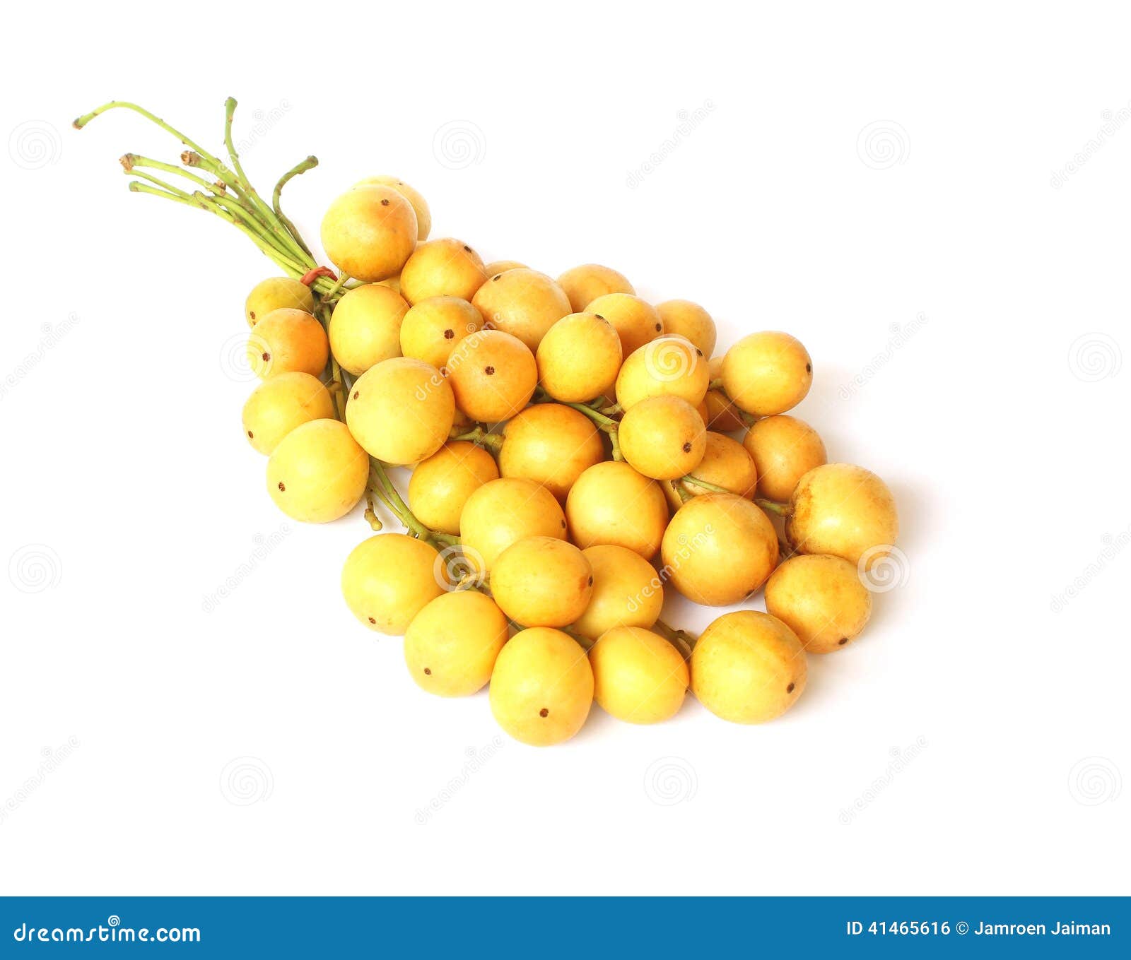 Burmese Grape Or Rambai ,Thai Native Fruit Stock Photo | CartoonDealer ...