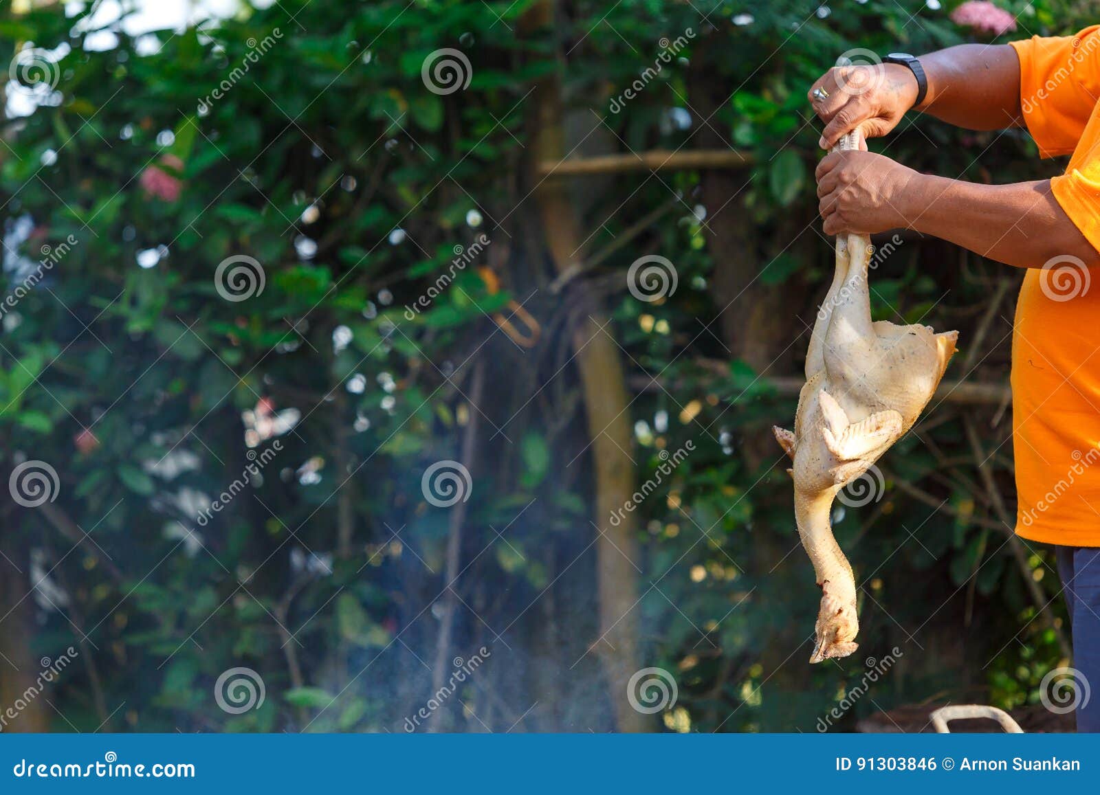 Burn chicken. stock photo. Image of dead, cook, roast - 91303846