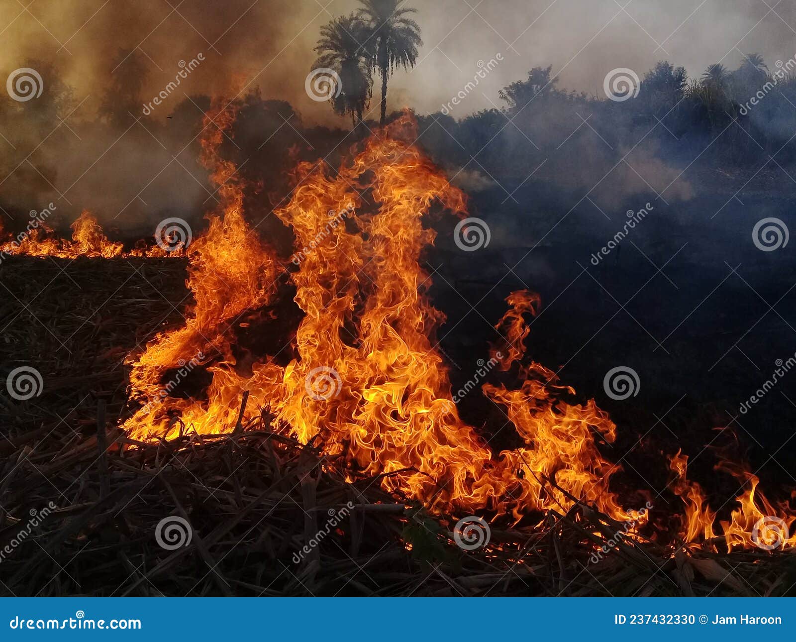 The Burn of Fire.Fire is the Rapid Oxidation of a Material & X28;the ...