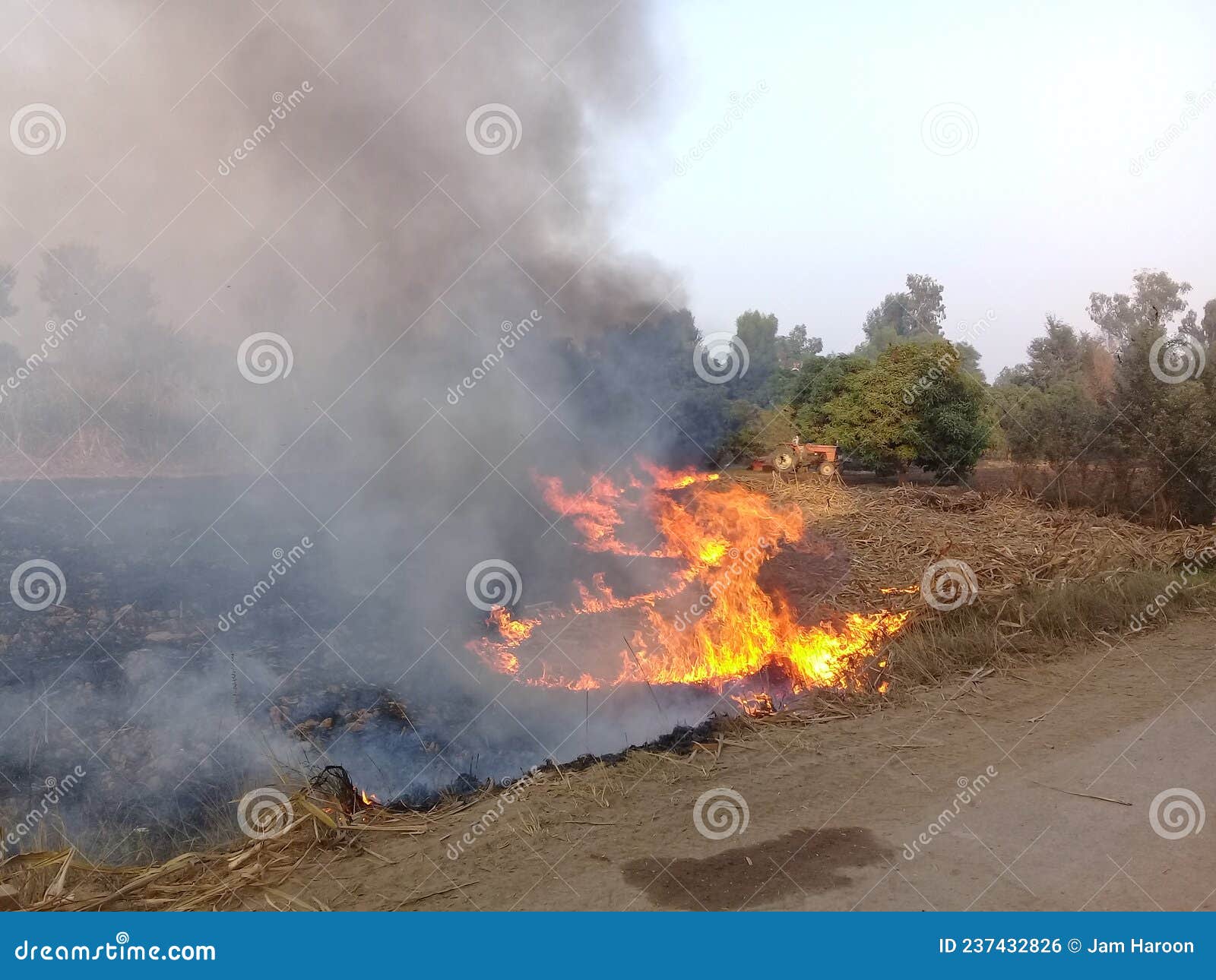 The Burn of Fire.Fire is the Rapid Oxidation of a Material & X28;the ...