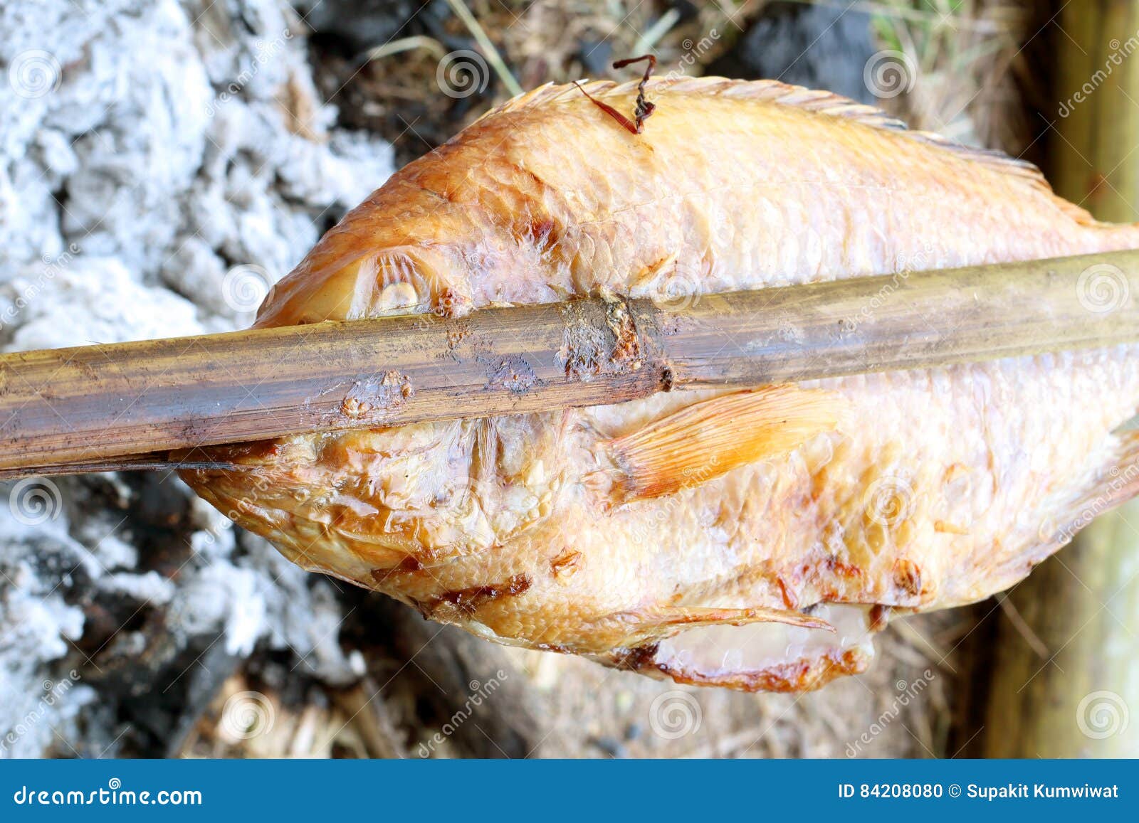 Burn Out Fish Stock Photo | CartoonDealer.com #60524688