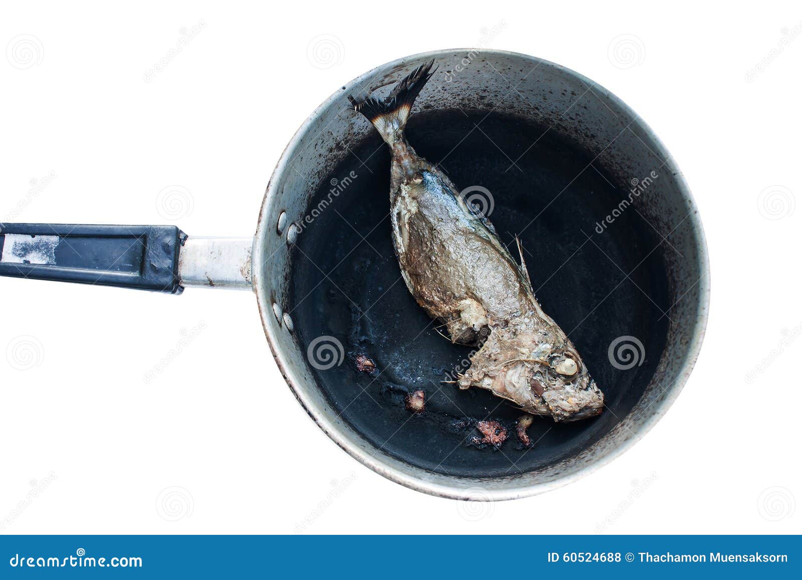 Burn Out Fish Stock Photo | CartoonDealer.com #60524688