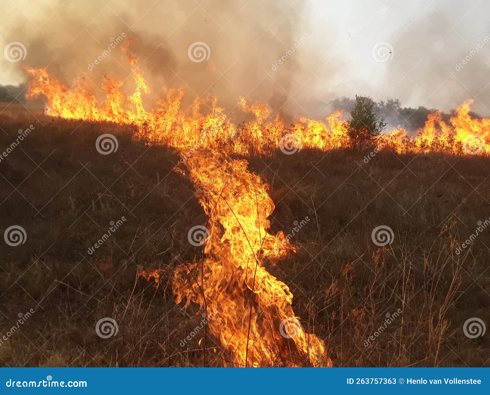 Burn the past stock image. Image of geyser, sunlight - 263757363