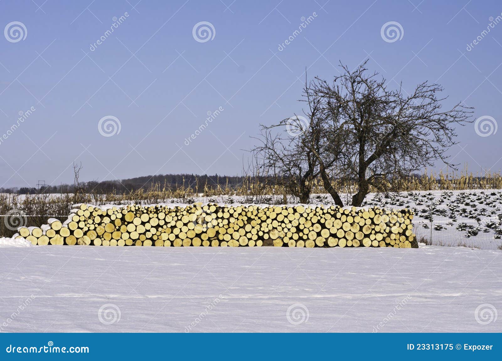 Burn pile stock image. Image of bark, pile, paper, lumber - 23313175
