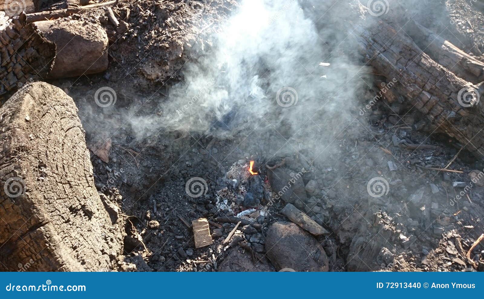 Burn Pile Ashes stock photo. Image of fire, burns, forest - 72913440