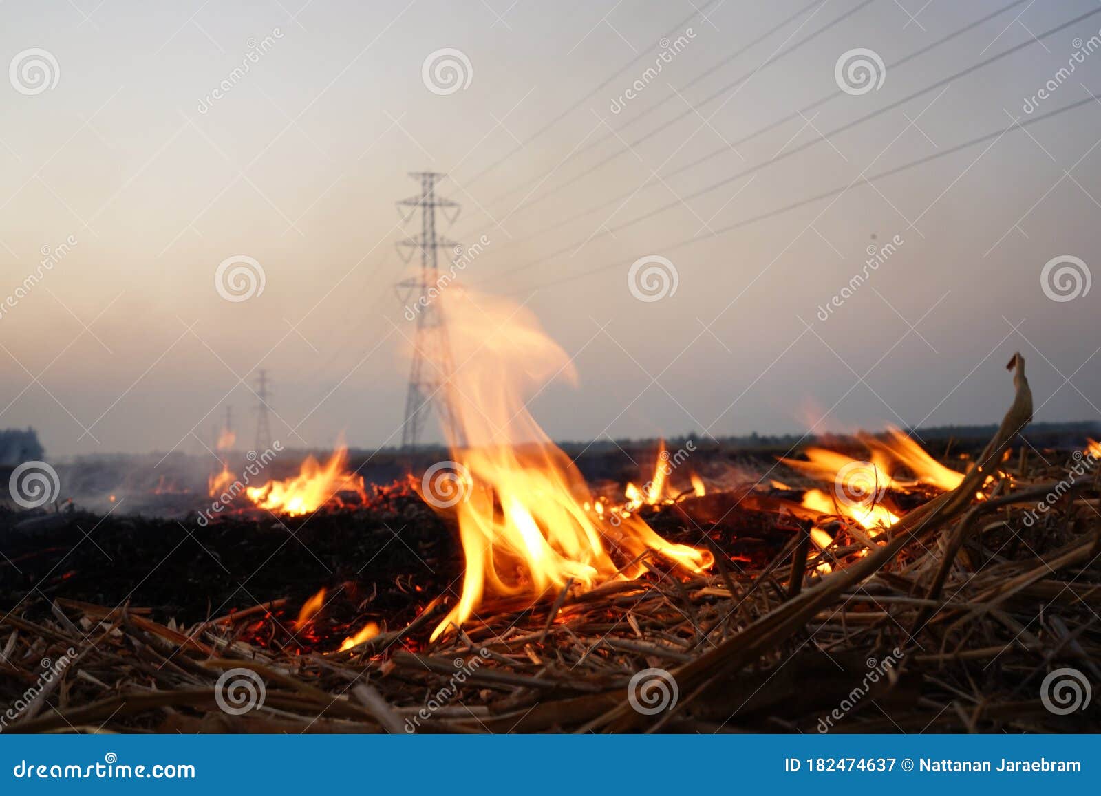 Burn rice stock image. Image of campfire, causing, burning - 182474637