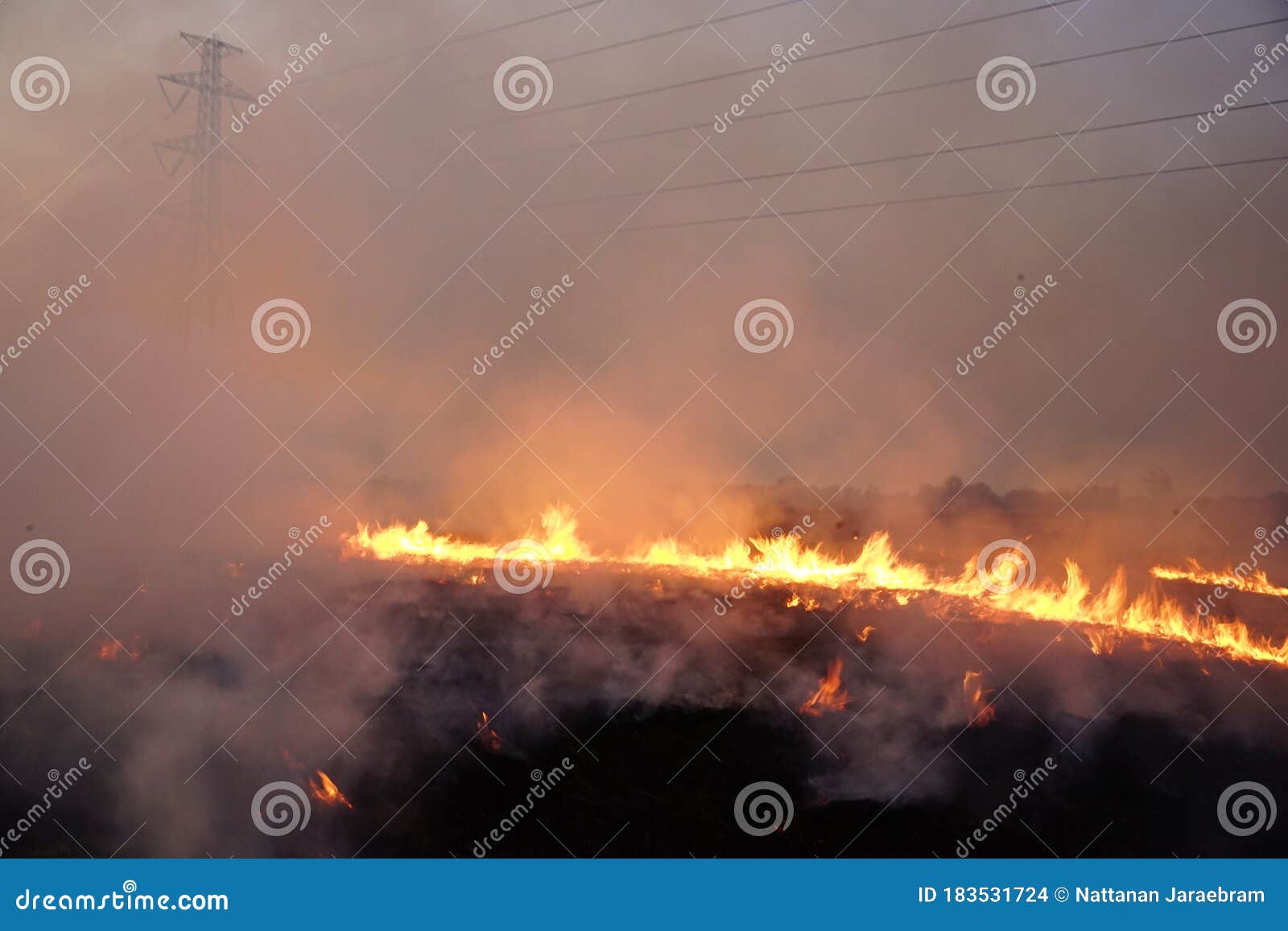 Burn Rice Stubble with Flames Stock Photo - Image of night, horizontal ...