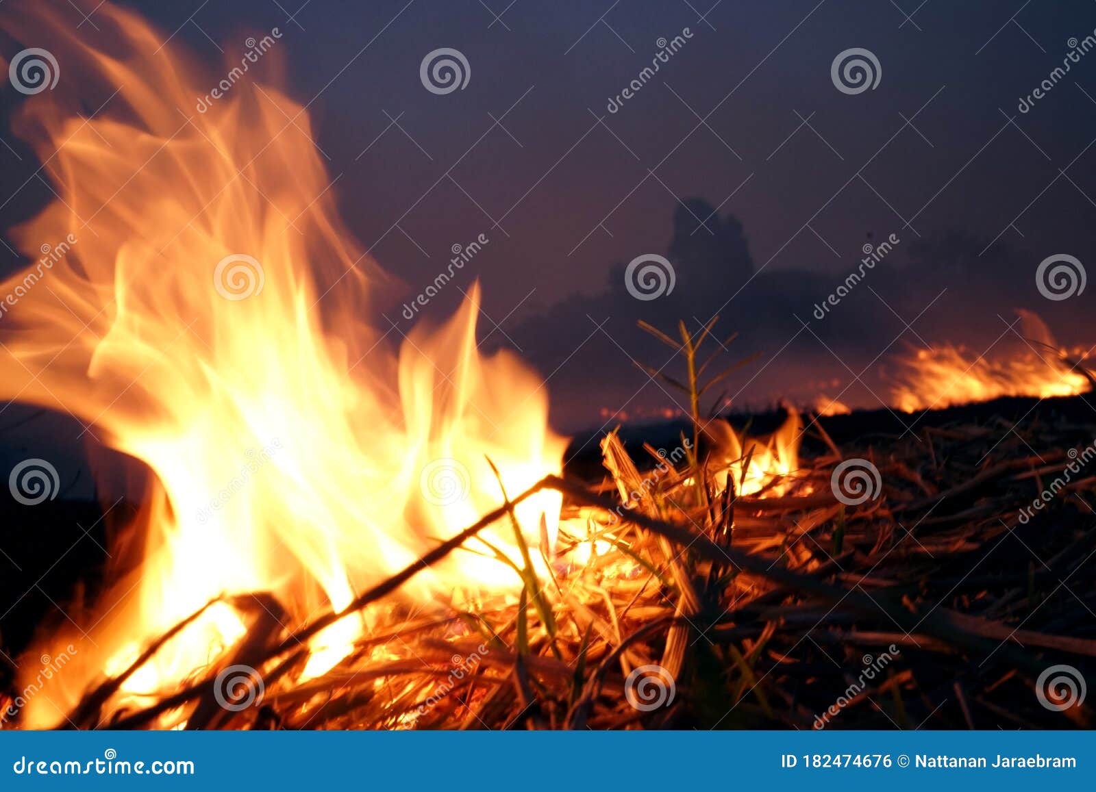 Burn rice stock photo. Image of causing, ecology, artistic - 182474676
