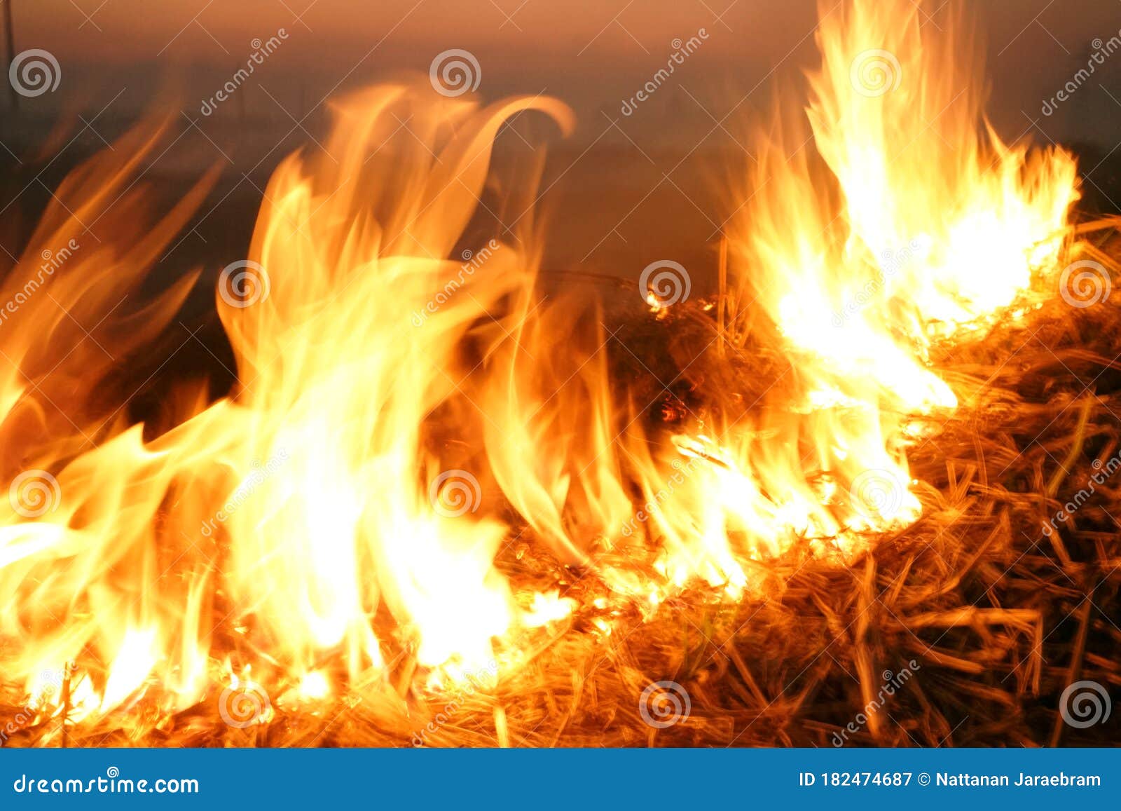 Burn rice stock image. Image of inferno, global, adult - 182474687